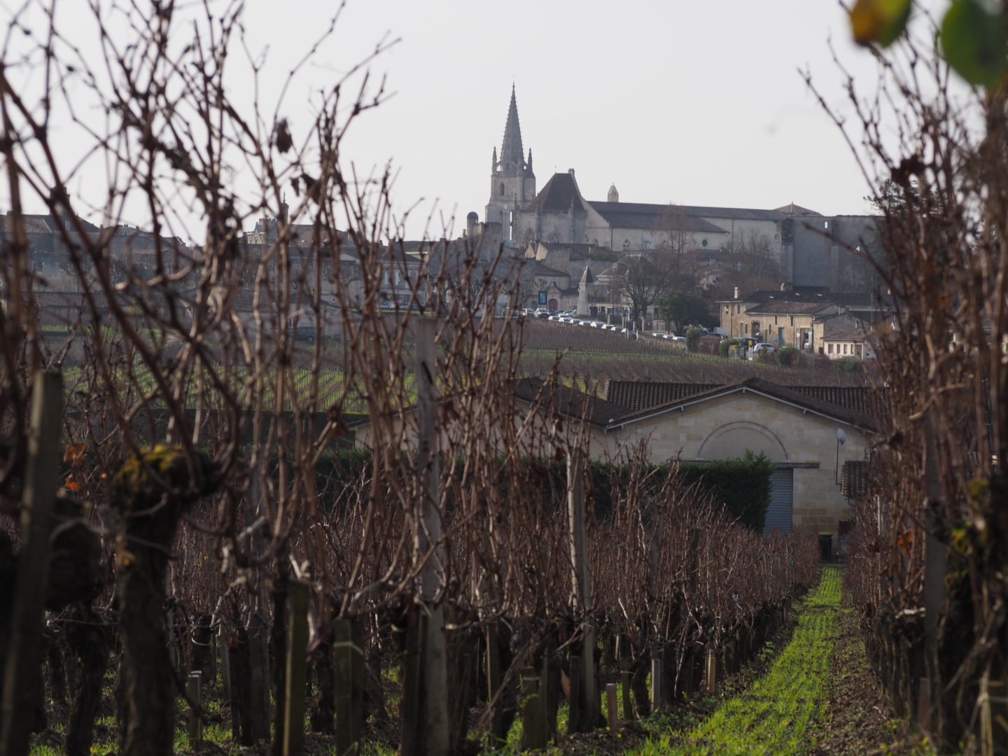 Winter in Bordeaux: A Guide to Wine Tours, Chateaux Visits, and ...