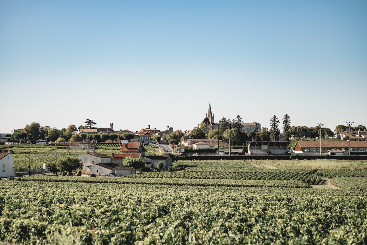 Bordeaux Wine Tours - Wine tasting experience - Rustic Vines Tours