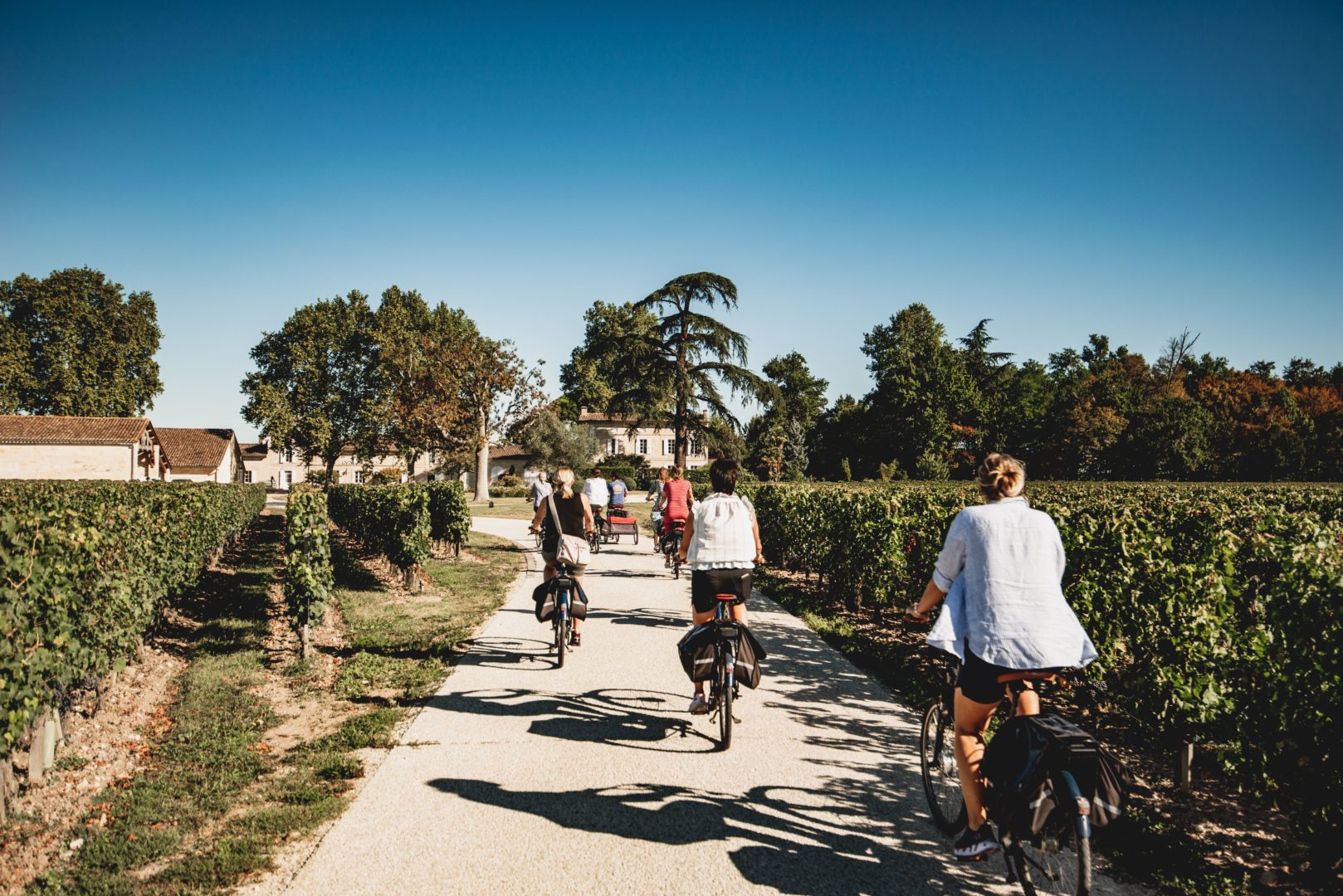 Bordeaux Wine Tours - Wine tasting experience - Rustic Vines Tours